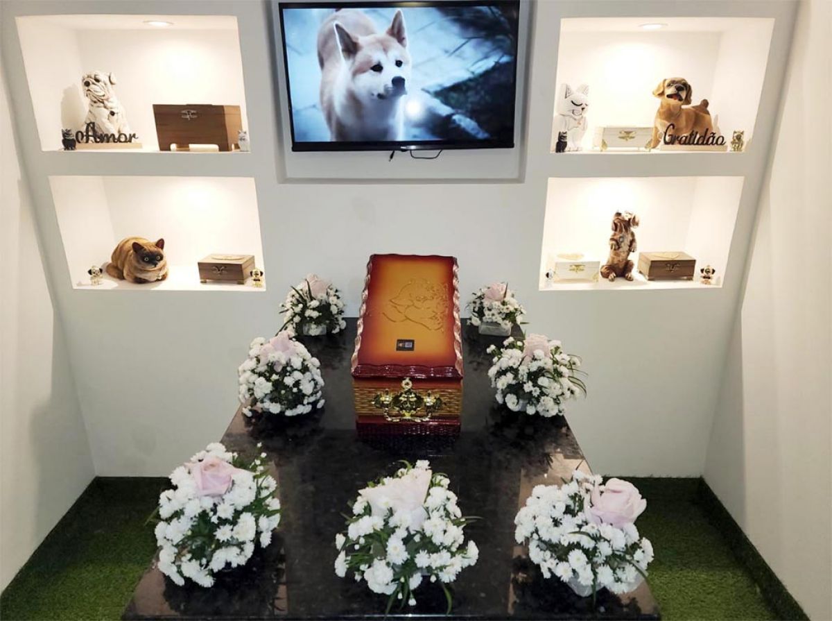 Funeraria Diamond - Nós respeitamos o seu PET